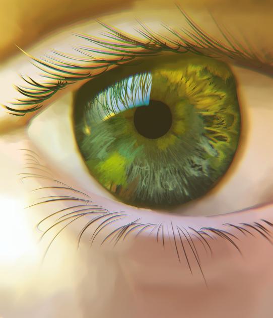 green eyes - ibisPaint