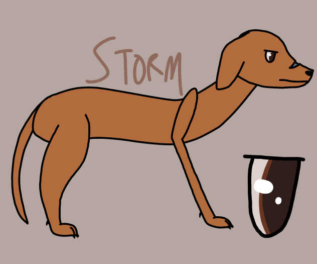 Storm ref1 - ibisPaint