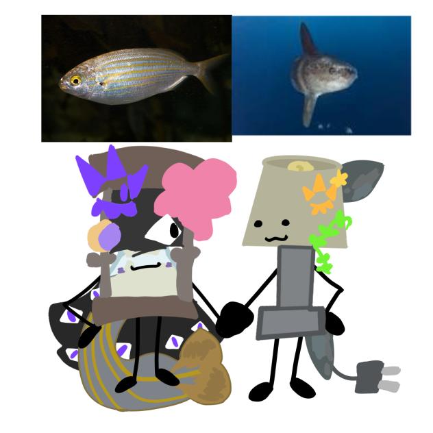 what if they were fish 5 - ibisPaint