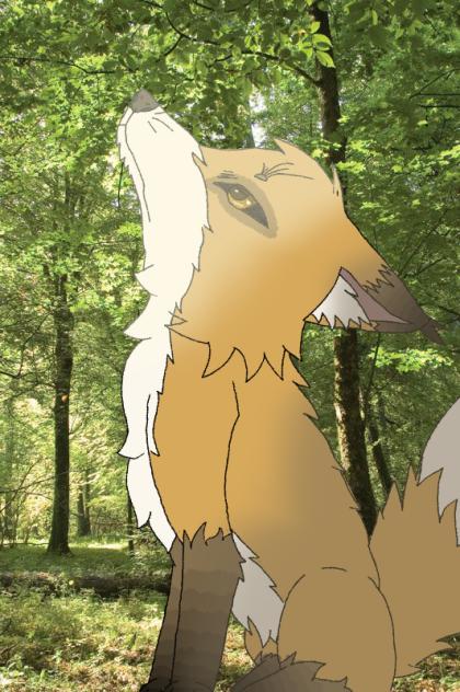 Woodland Fox drawing - ibisPaint