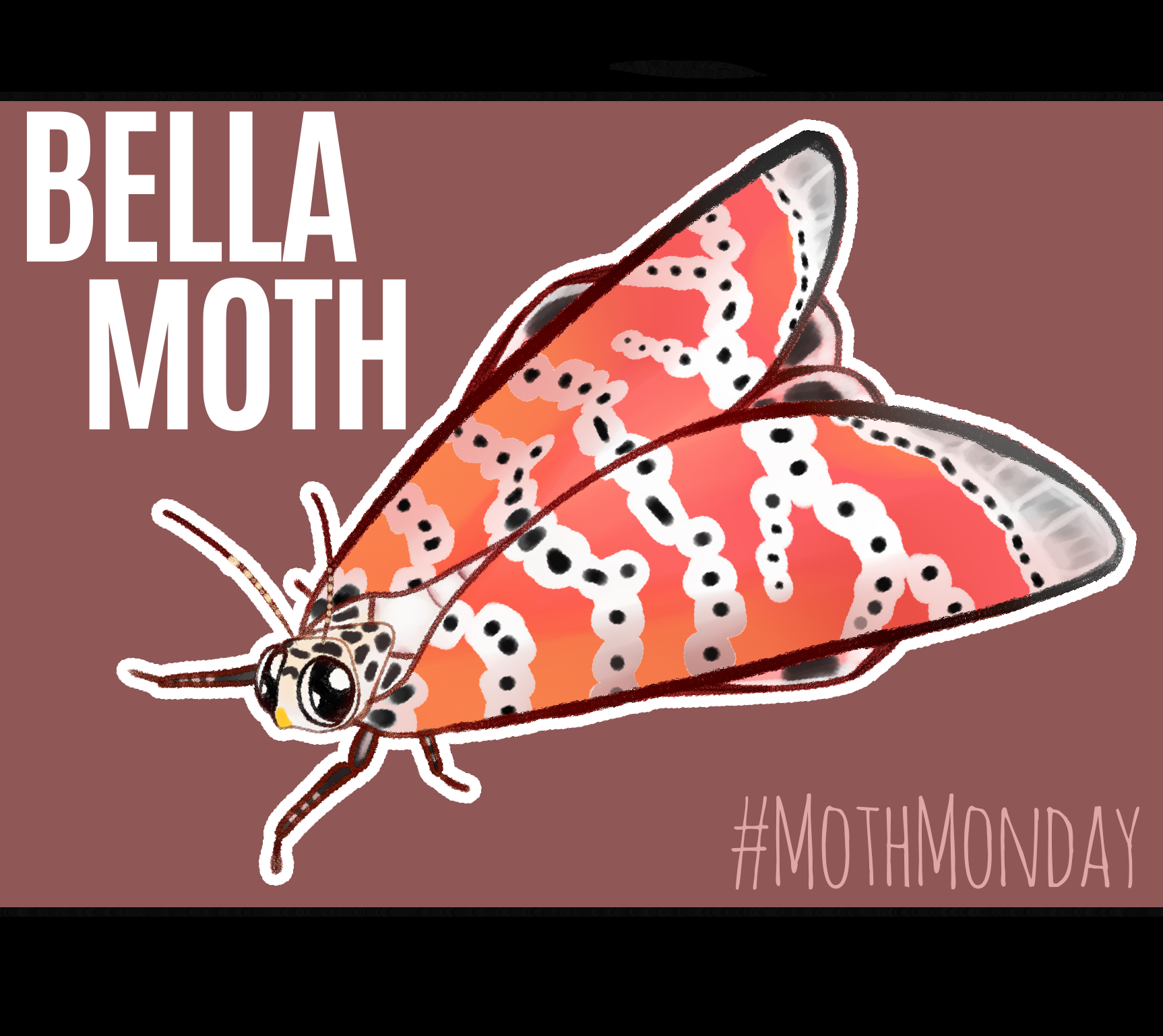 Moth Monday #4 - ibisPaint
