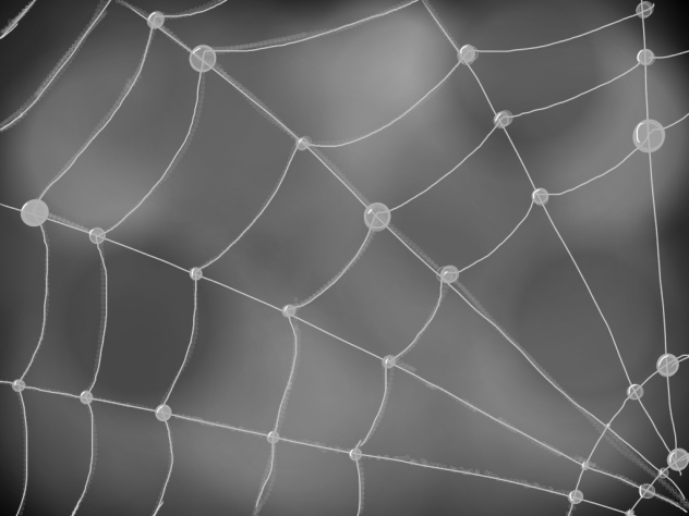 spider web drawing - speed art - ibisPaint
