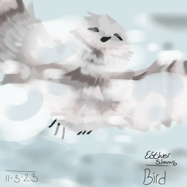 bird [鳥] - 白フクロウ - ibisPaint