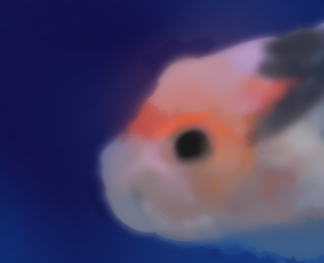 Lazy ranchu goldfish - ibisPaint