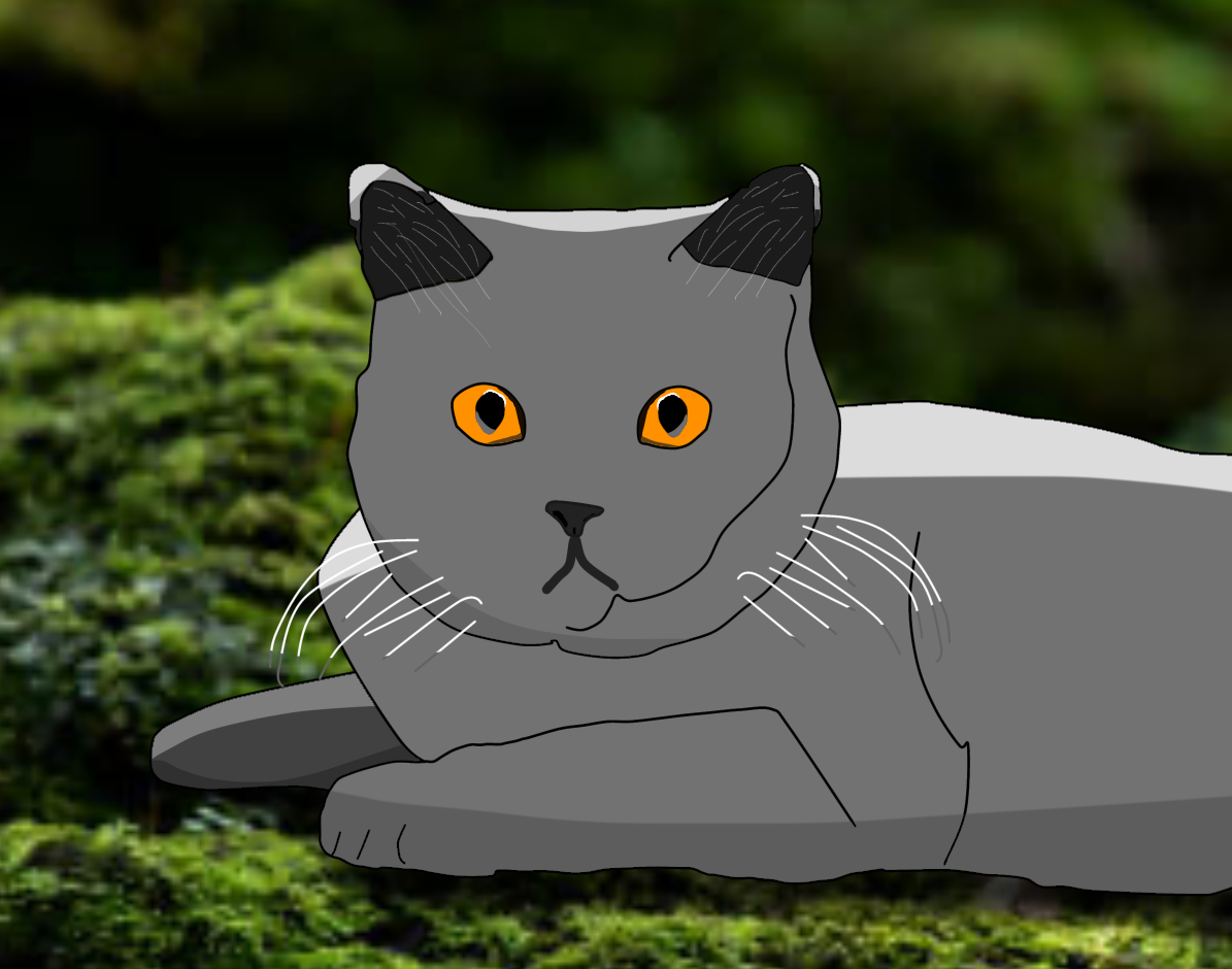 random cat drawing idk - ibisPaint