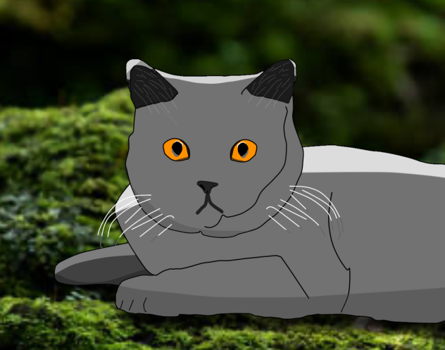 random cat drawing idk - ibisPaint