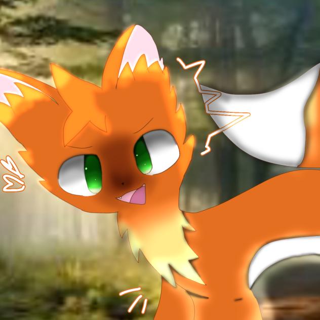 Ginger cat - ibisPaint