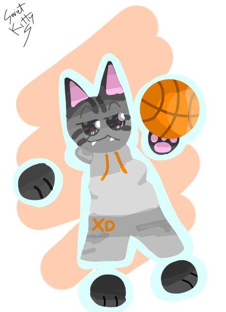 basketball cat - ibisPaint