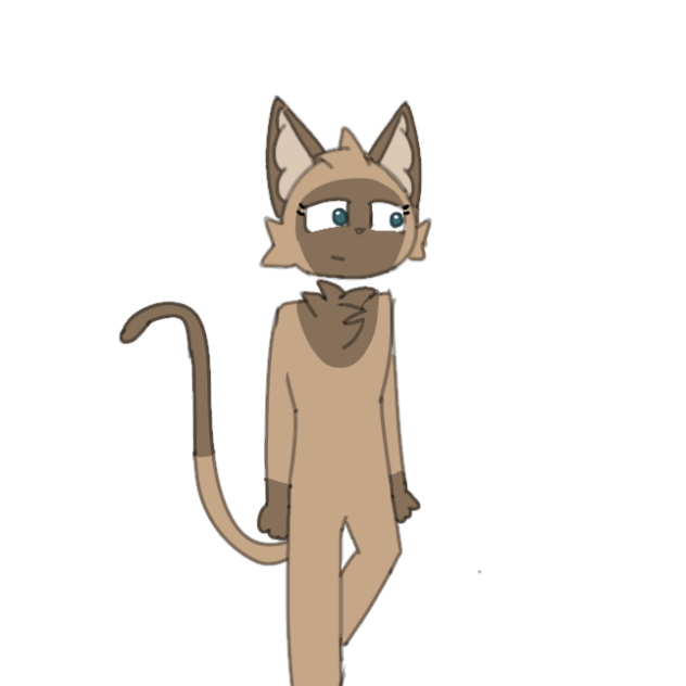 quick siamese drawing - ibisPaint