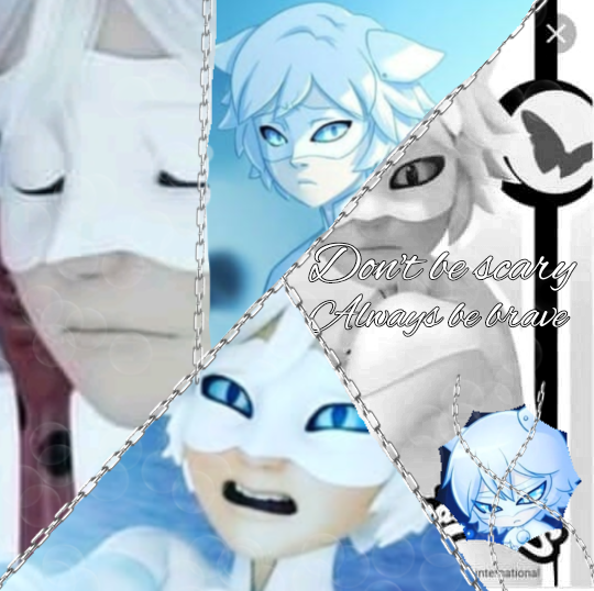 l💖chat blanic - ibisPaint