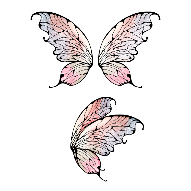 Fairy wings front and side view2 - ibisPaint