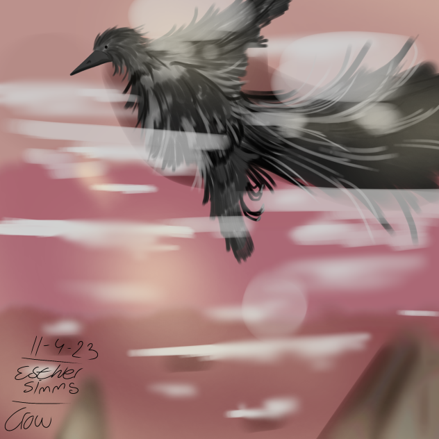 crow [カラス] - ibisPaint