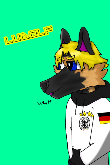 ludolf redesign - ibisPaint