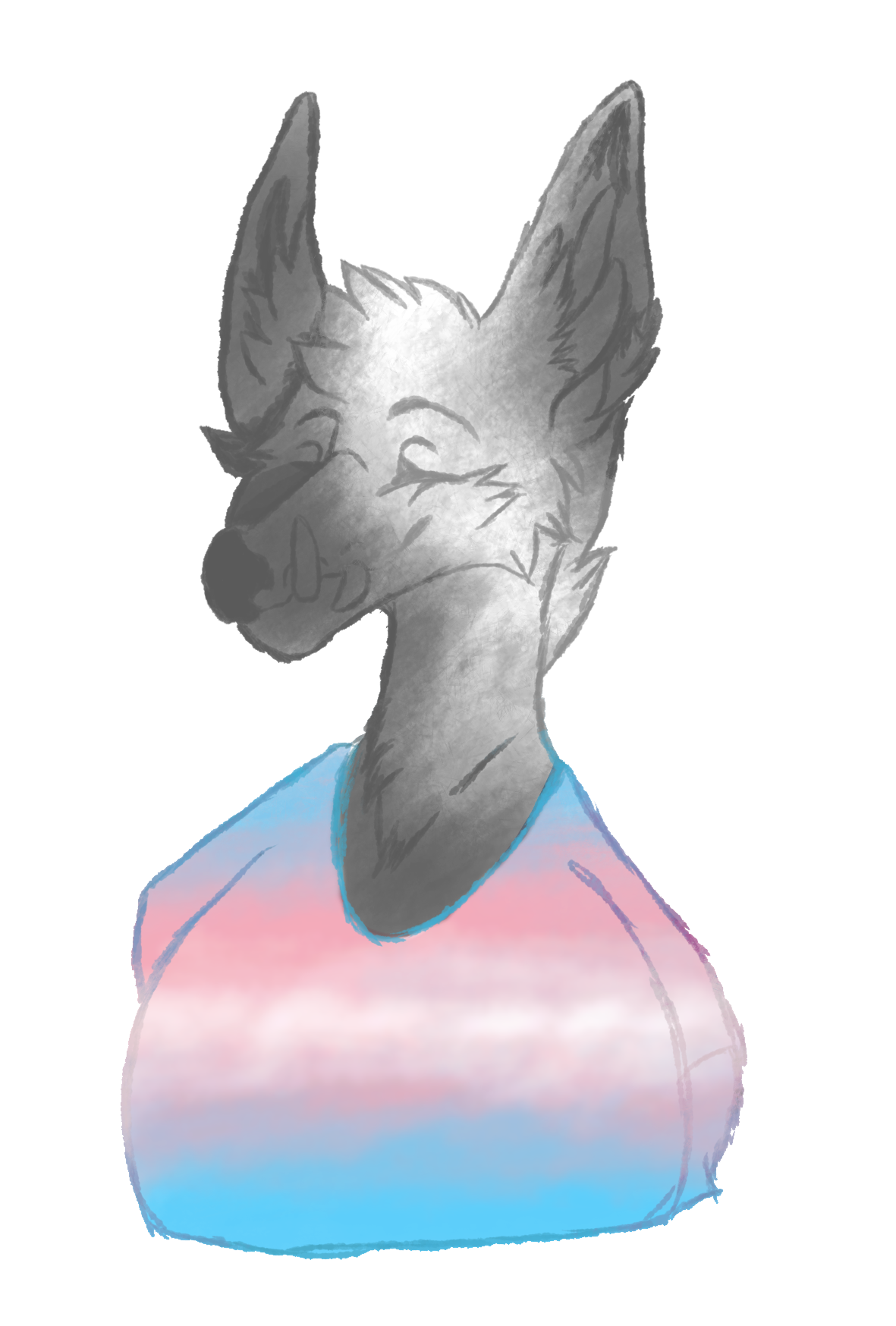 Trans CloudJumper oc - ibisPaint