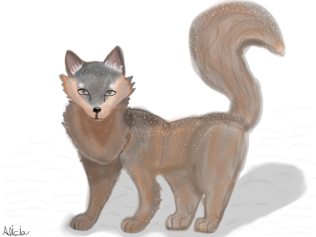 A Gray fox in winter. - ibisPaint