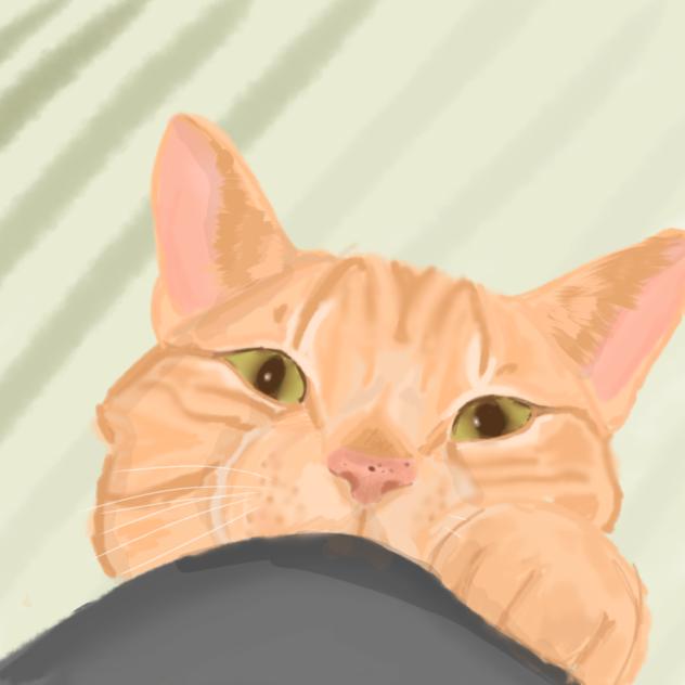 sparky!! (my cat) - ibisPaint