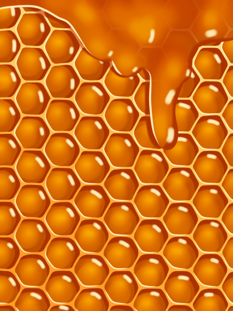 Honeycomb - ibisPaint