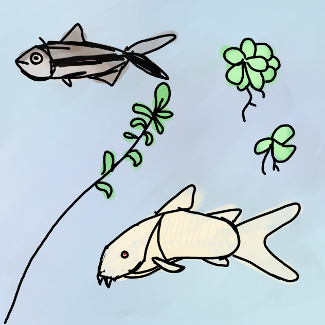 fish - ibisPaint