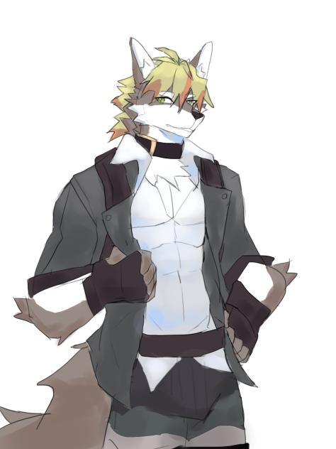 random wolf - ibisPaint