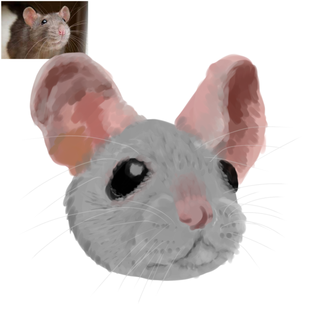 RAT - ibisPaint