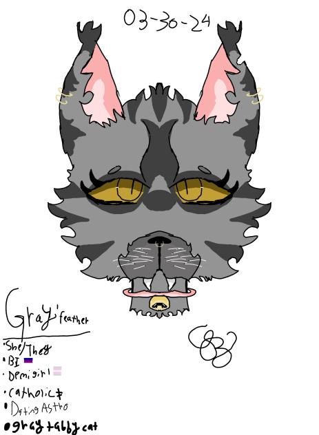 gray'feather - ibisPaint