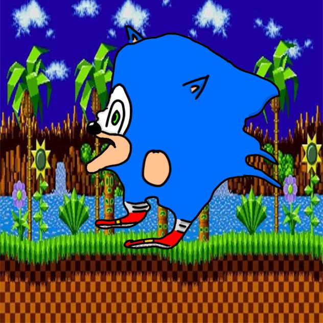 Sonic pog - ibisPaint