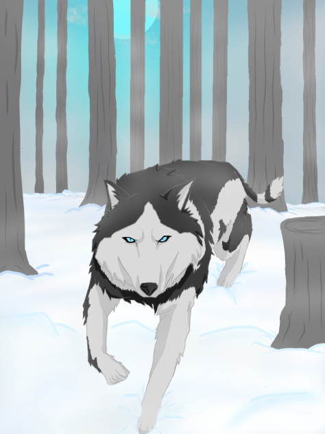 wolf and moon - ibisPaint
