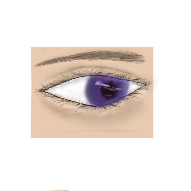 My attempt at realism - ibisPaint