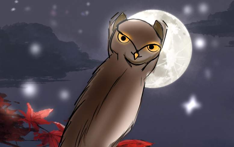 Owl - ibisPaint