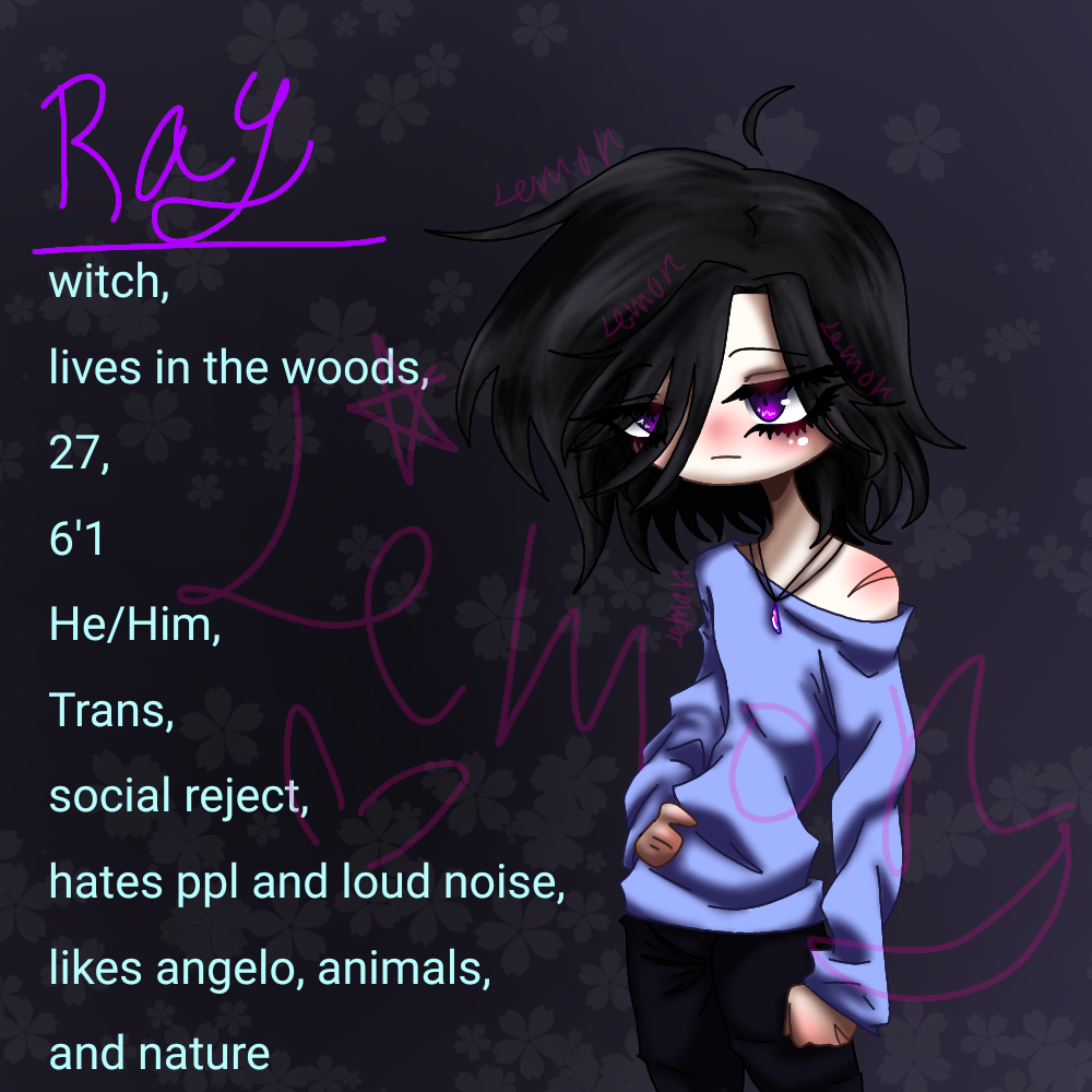 Ray Refsheet - ibisPaint