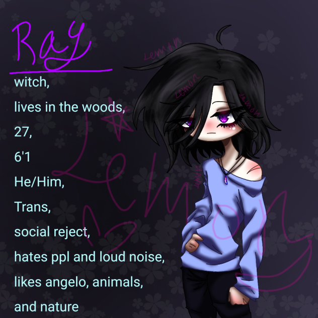 Ray Refsheet - ibisPaint