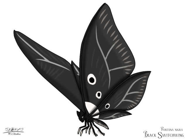 Black Switchwing - ibisPaint