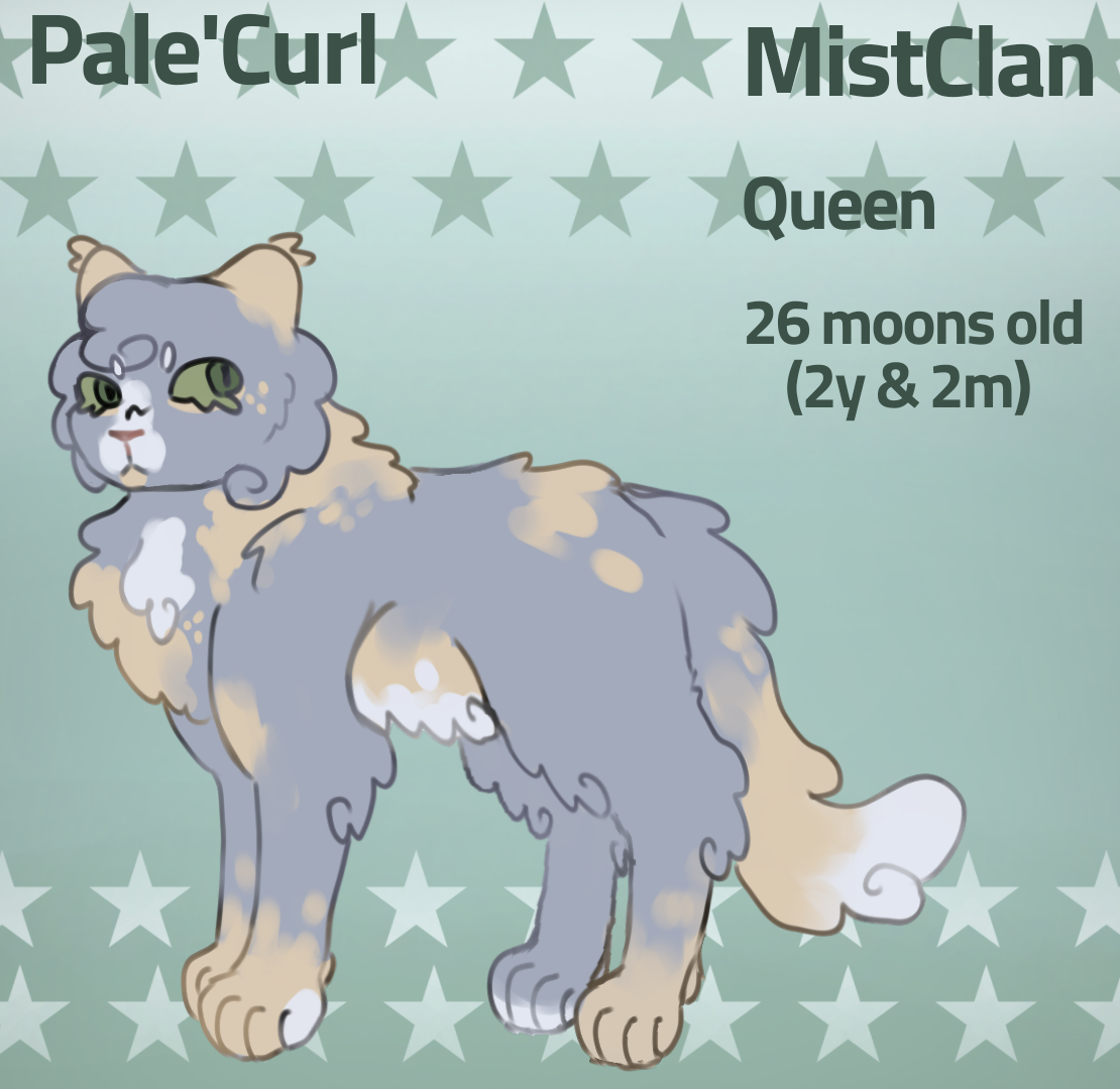 Pale'Curl, Warrior cats oc - ibisPaint