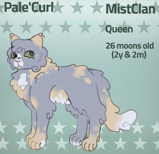 Pale'Curl, Warrior cats oc - ibisPaint