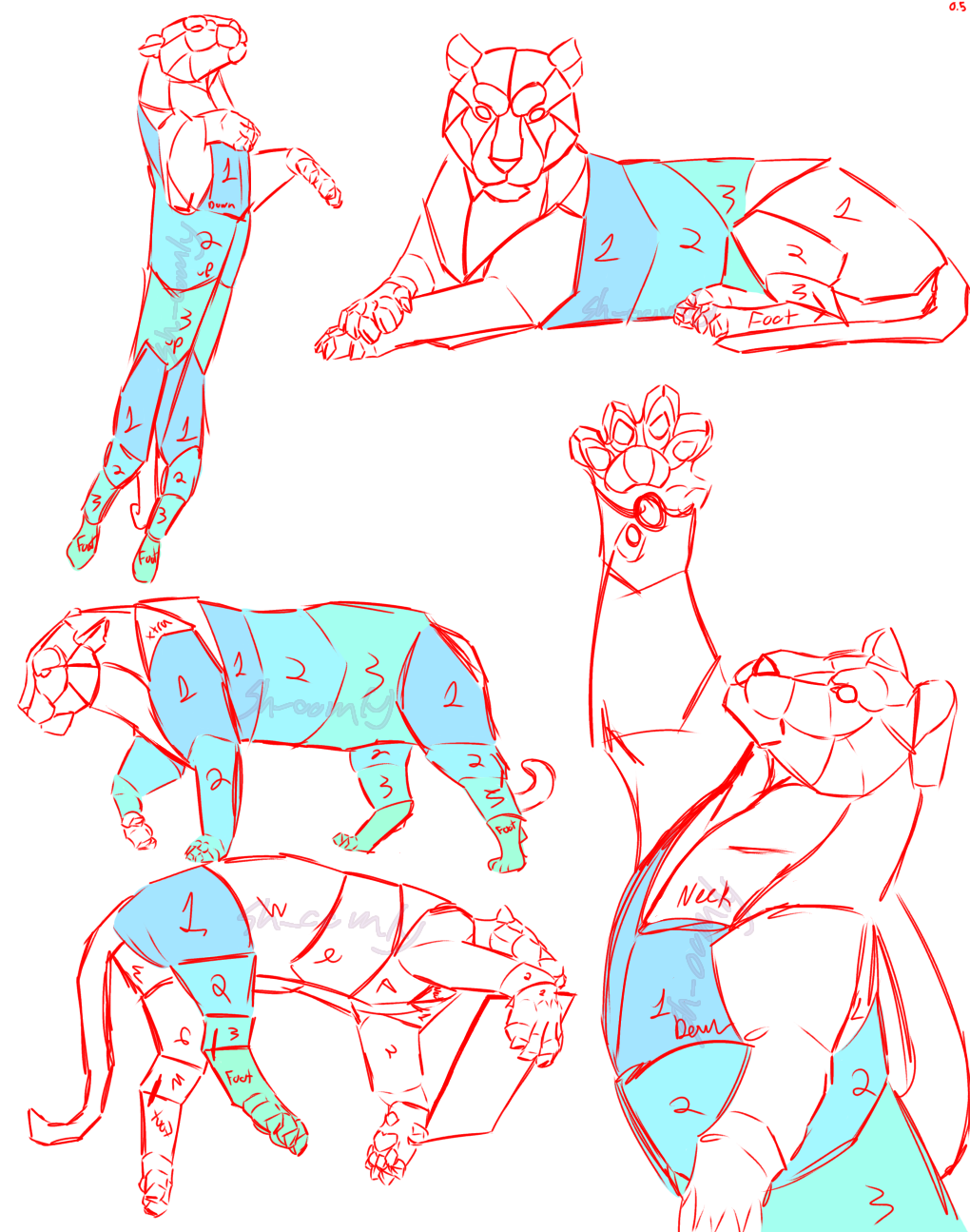 Tiger study - ibisPaint