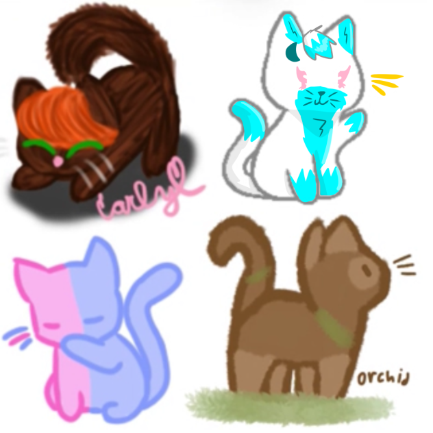 Kitty Collab - ibisPaint