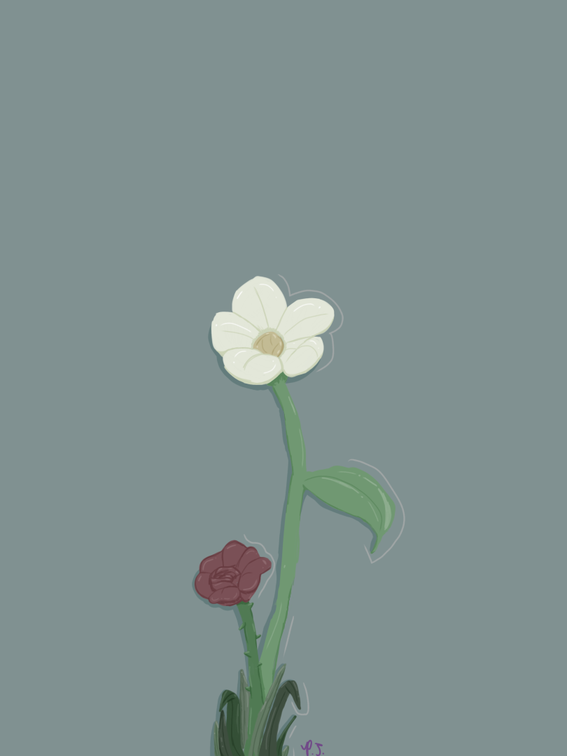 Des beaux fleurs - ibisPaint