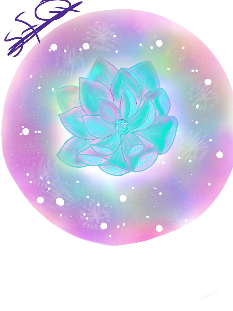galaxy flower - ibisPaint