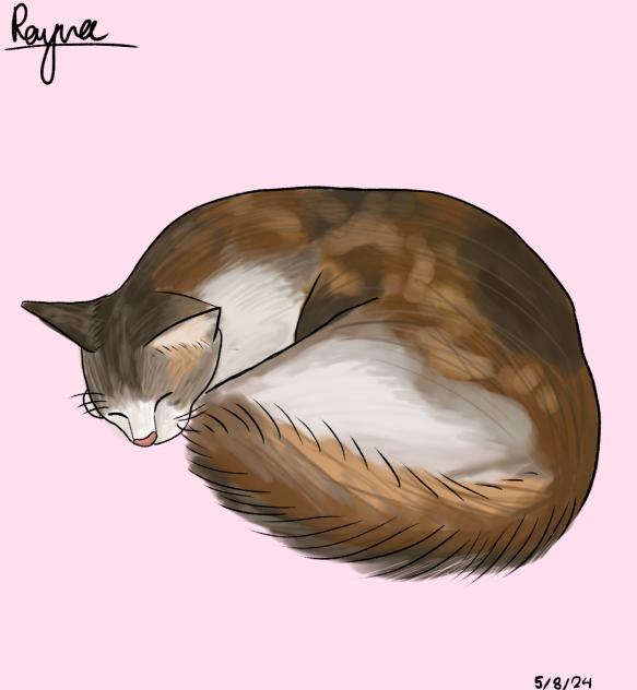 Cat - ibisPaint