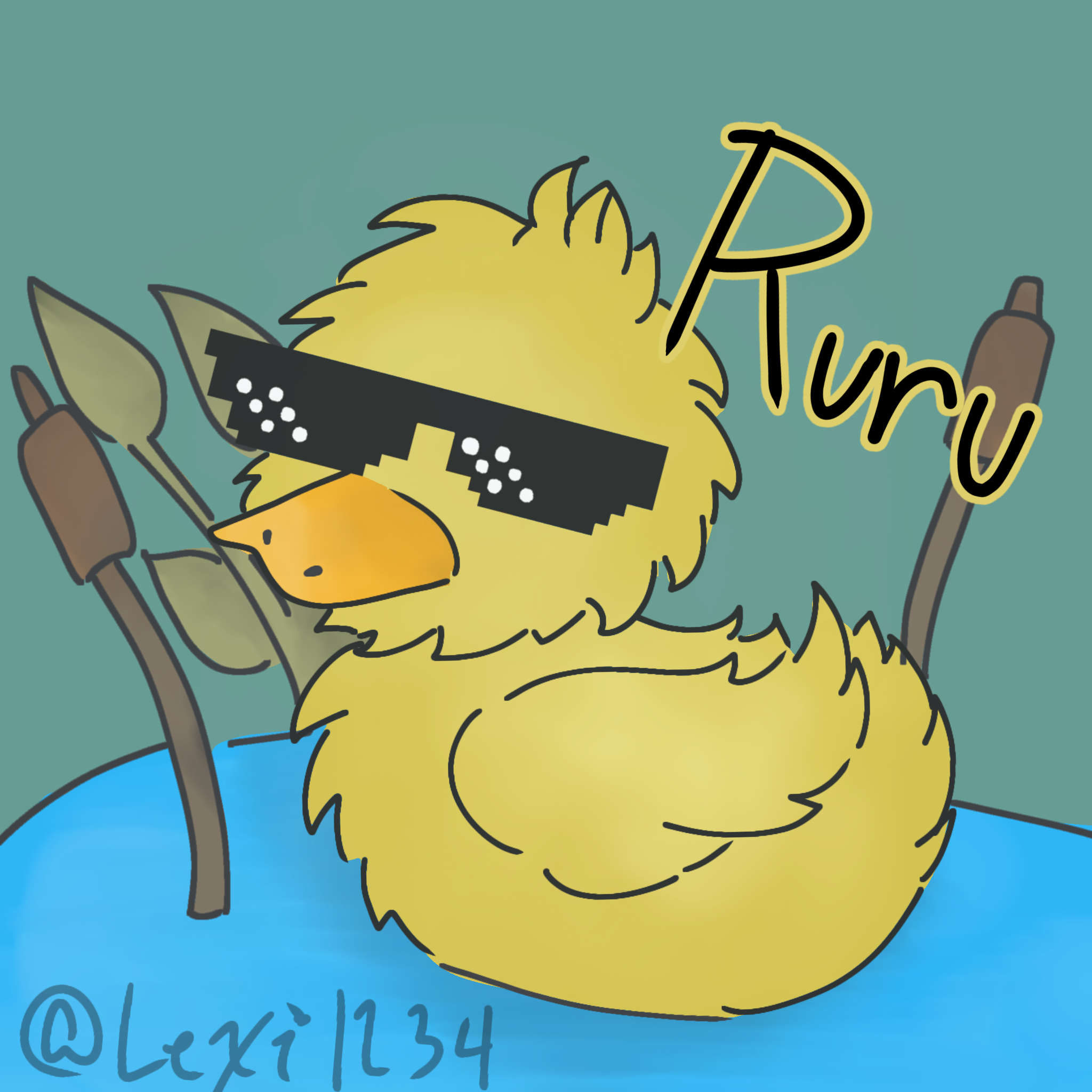 Ruru duck - ibisPaint