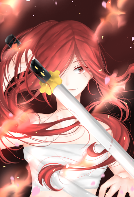 Erza Scarlet - ibisPaint