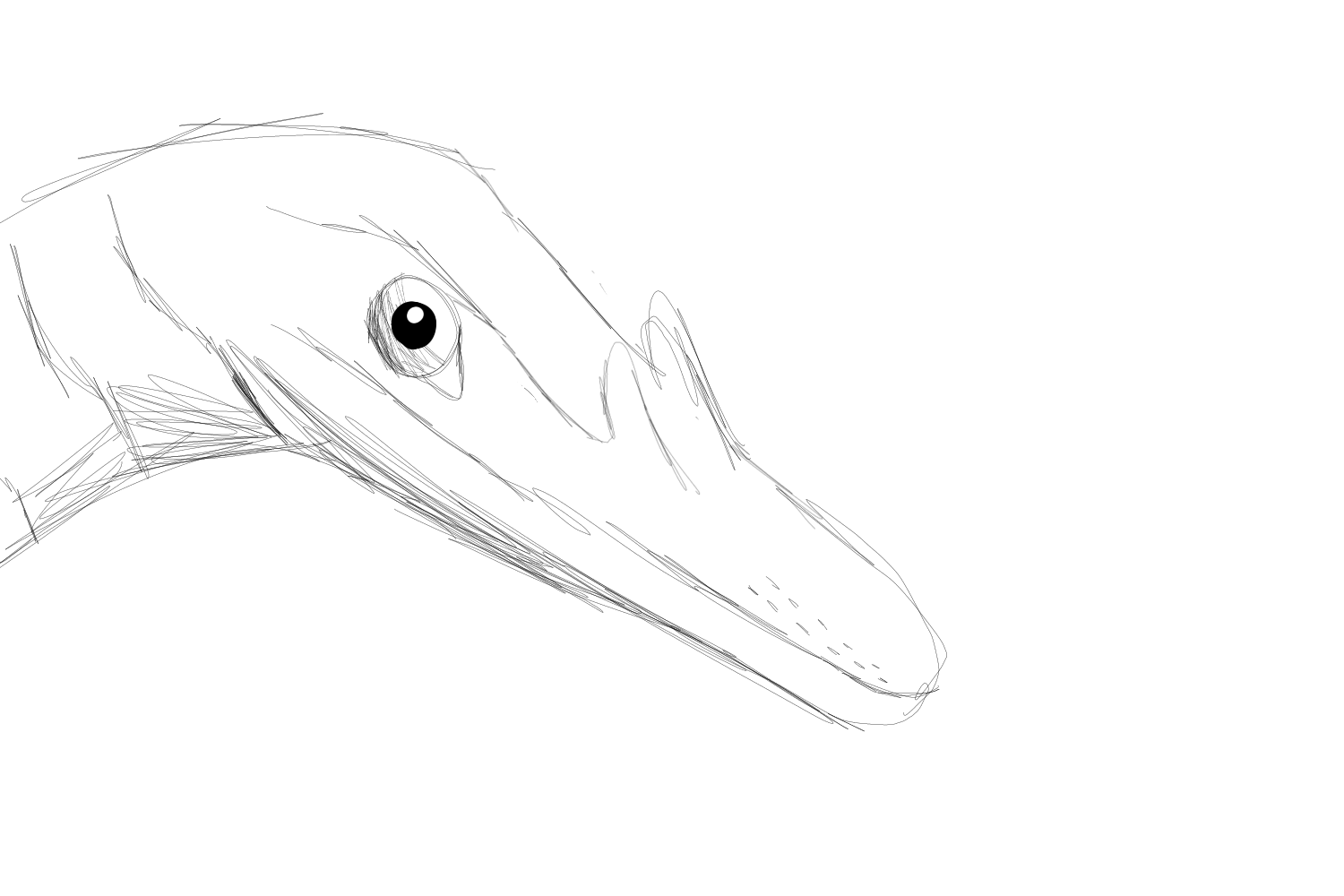 Jthorax anim loop - ibisPaint