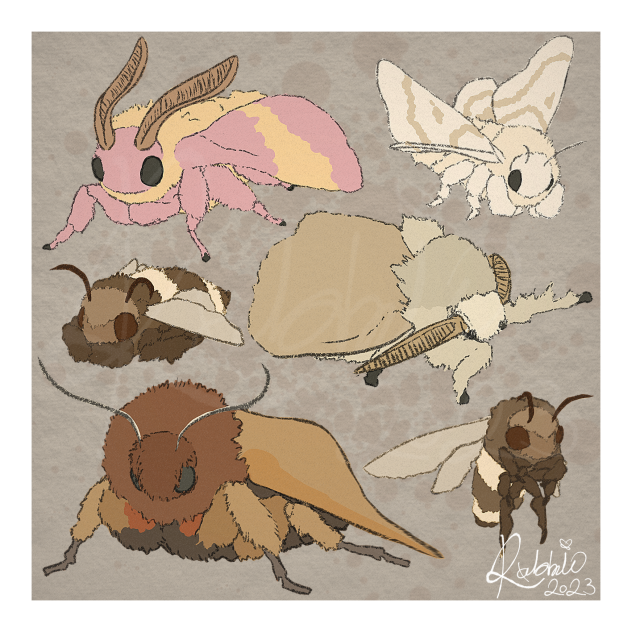 MOTHS (pt.1) - ibisPaint