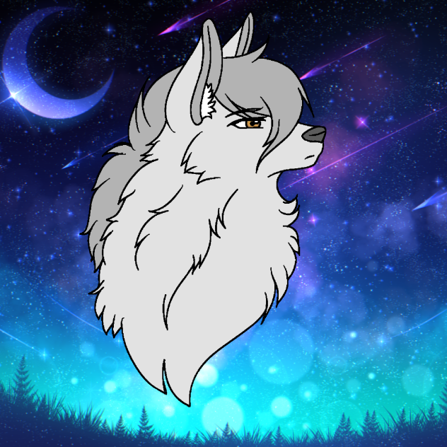 gray wolf - ibisPaint