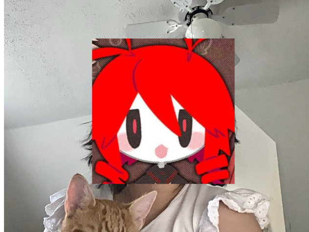 GINGER CATS THAT LOOK LIKE THIS AMERICAN - ibisPaint