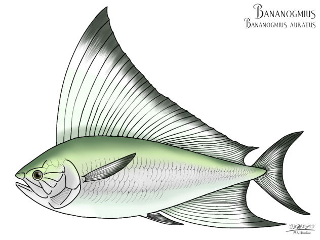 Bananogmius auratus - ibisPaint