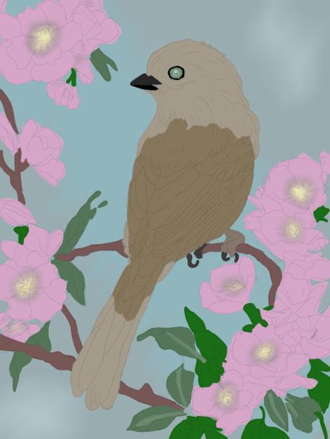 sparrow - ibisPaint