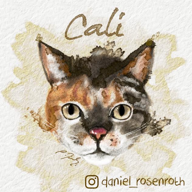 cali cat - ibisPaint