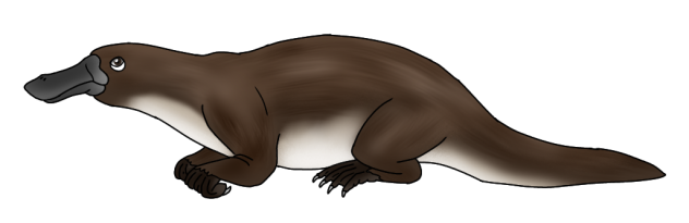 Obdurodon insignis - ibisPaint