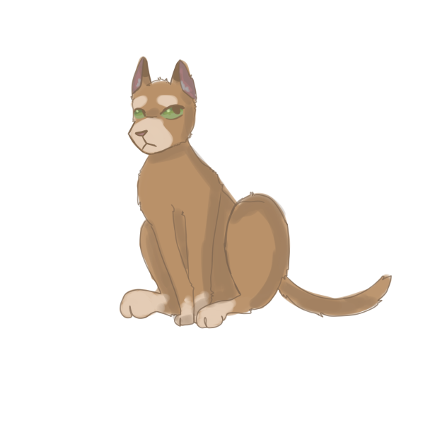 an orange cat - ibisPaint